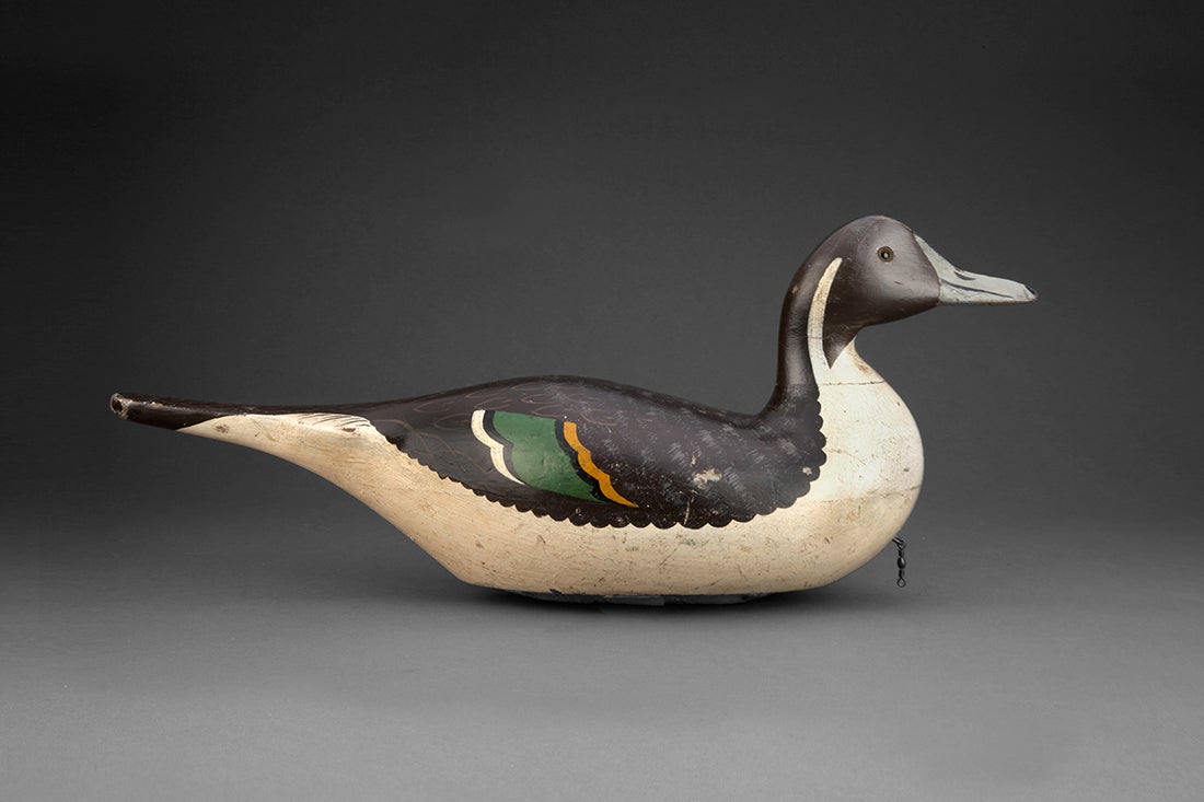Oregon Duck Decoy